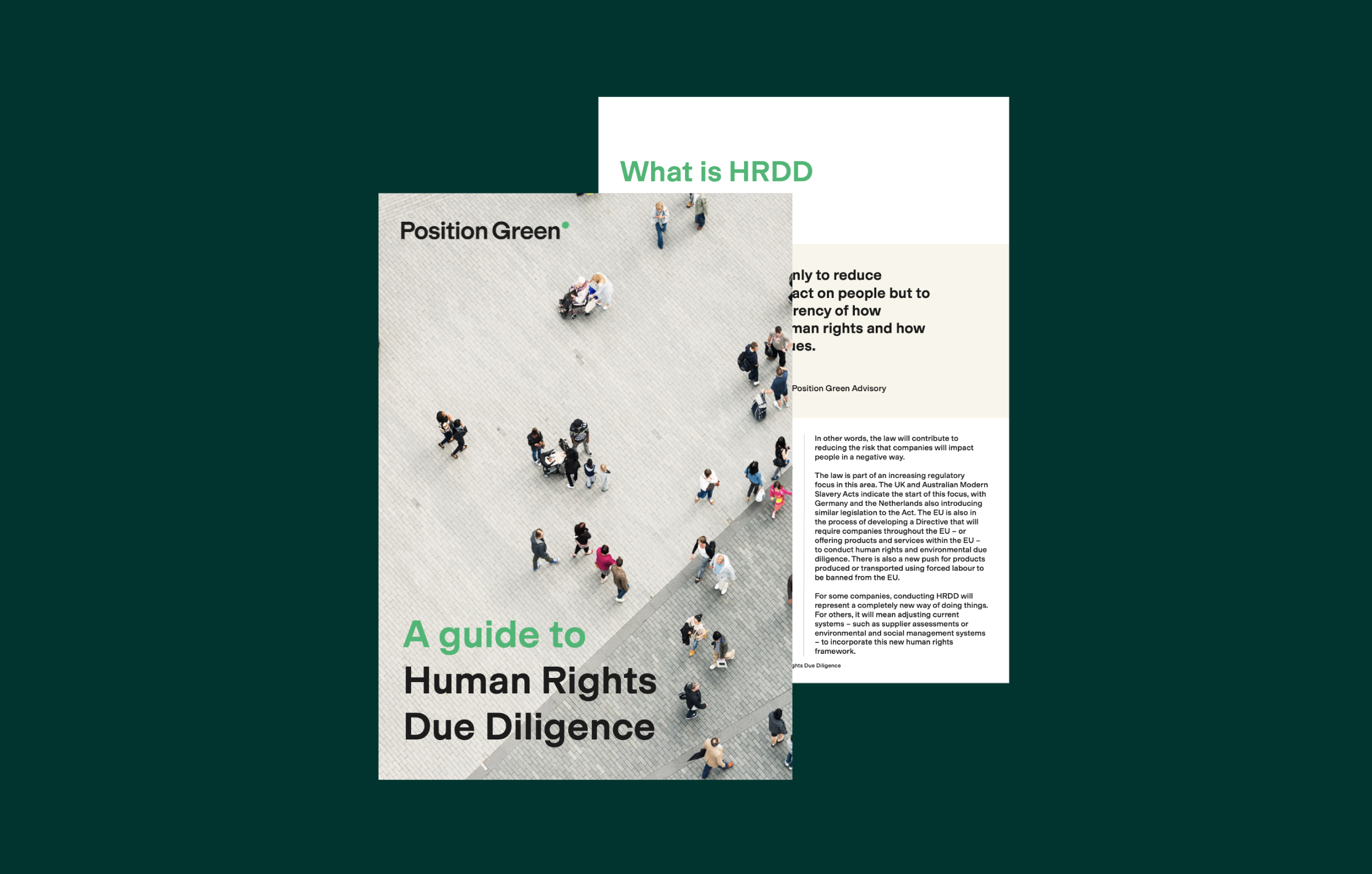 A guide to Human Rights Due Diligence – Position Green