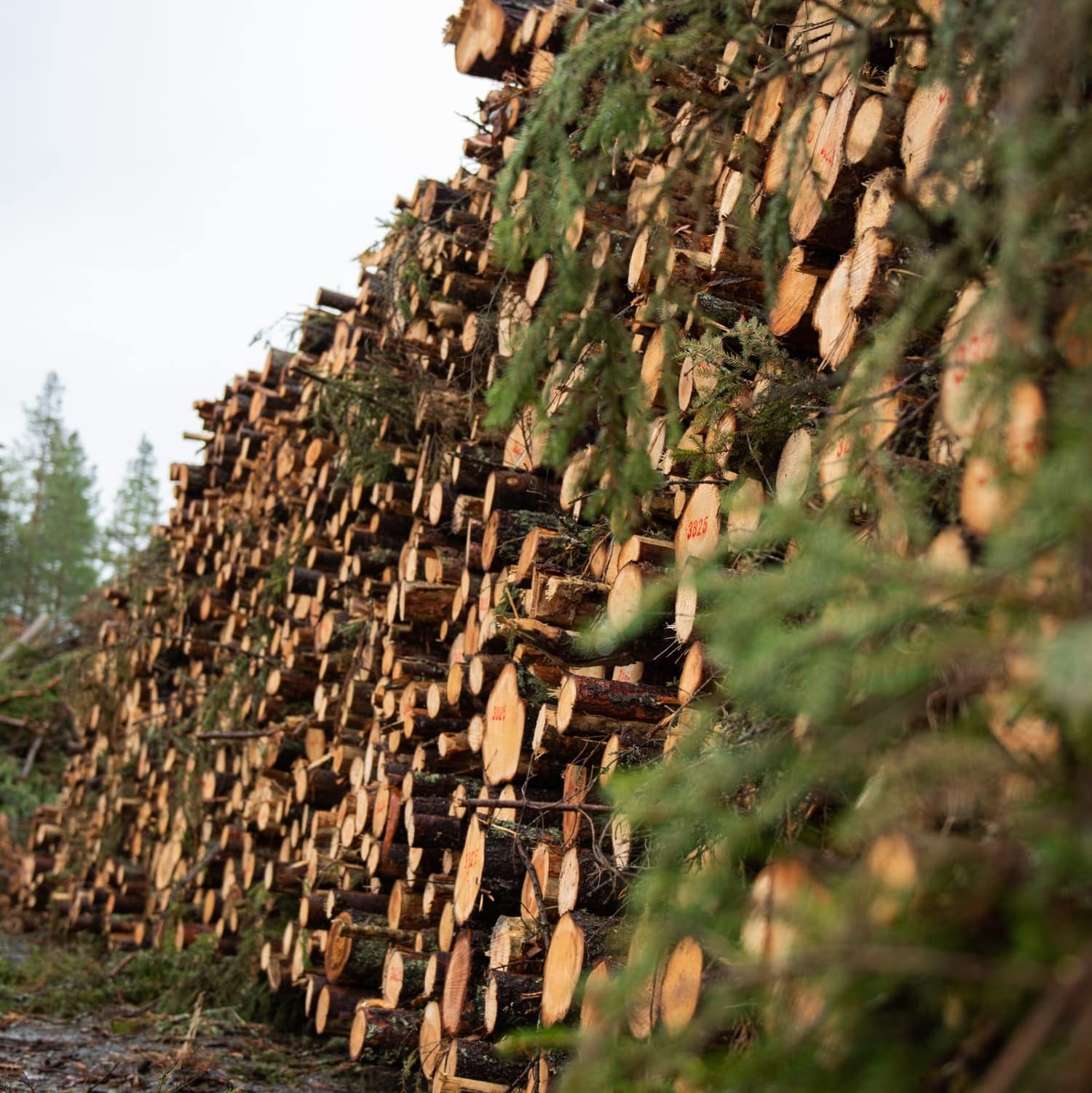 Industries – Position Green